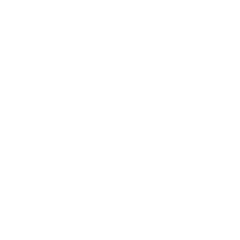 NISSEN energy har container-løsningen til din gasmotor-unit (CHP)